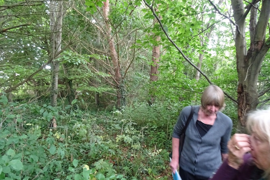 Ashton Court Greenway – Greenways and Cycleroutes