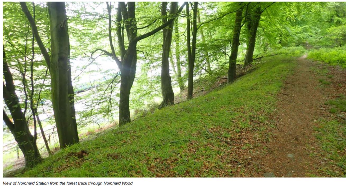 Dean Forest Greenway – Greenways and Cycleroutes