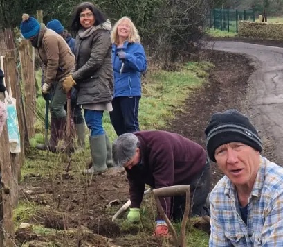 Hedges and Trees – Greenways and Cycleroutes