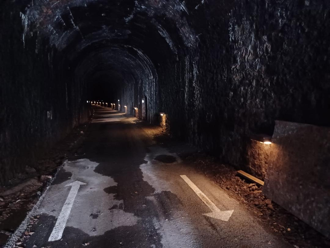 Tidenham Tunnel 2023 Openings – Greenways and Cycleroutes